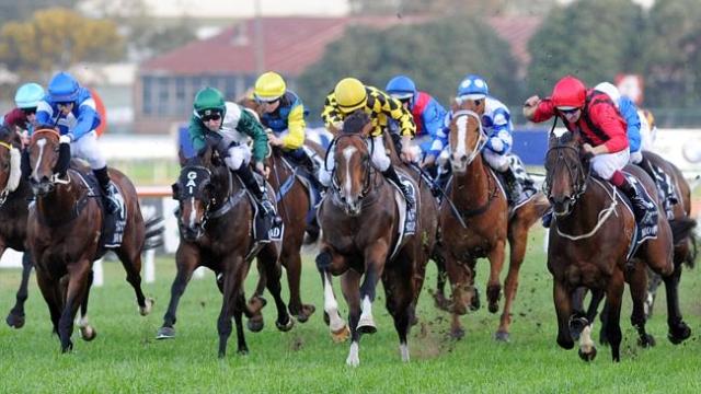 [Flameracing]金玫瑰錦標，Hallowed Crown後上力強 – Flameracing