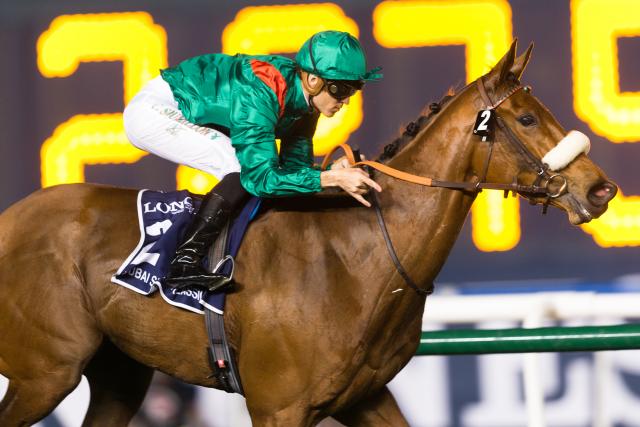 [Davi]多麗盈贏司馬經典，首度稱霸國際一級賽 – Flameracing