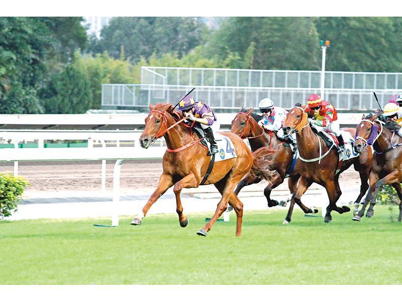 [Flameracing]2017年四歲馬精英雲集，別樹一格的西方快車 – Flameracing