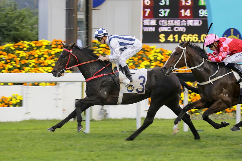 [Flameracing]2017年四歲馬精英雲集，四季旺能趕上成精英（已更新） – Flameracing