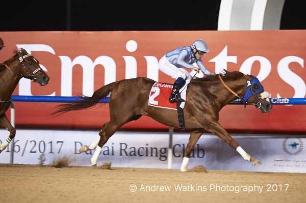 [Flameracing]超級星期六第三部份，受勛勇爵一級賽一擊即中 – Flameracing