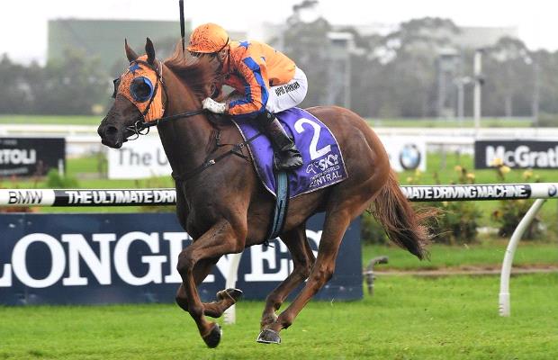 [Flameracing]玫瑰崗堅尼，薑汁脆餅提早發力照贏 – Flameracing