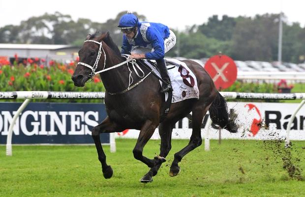 [Flameracing]佐治萊德錦標，雲絲仙子遇強手又贏成條街（完全版） – Flameracing