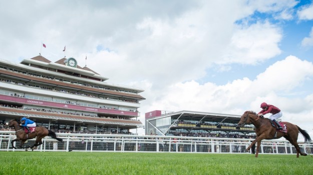 [Davi]樂景傑錦標- 列卓斯特贏得輕易 – Flameracing