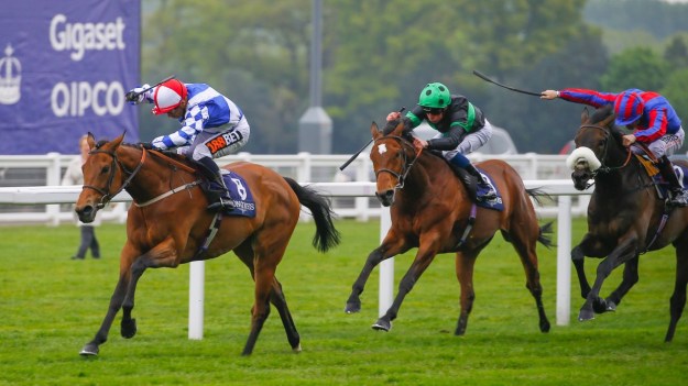 [Flameracing]金盃黑馬何處尋？由五班馬重新贏到分級賽的Sweet Selection – Flameracing