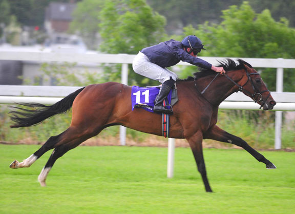 [Flameracing]大震撼子嗣的歐洲九月天 – Flameracing