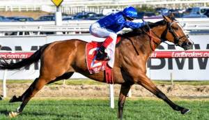 [Flameracing]羅倫士錦標，喜特來與雲絲仙子訣別初戰即勝 – Flameracing