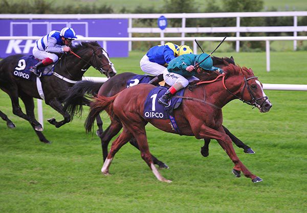 [Flameracing]愛爾蘭冠軍錦標，受勳勇爵真正贏大賽 – Flameracing