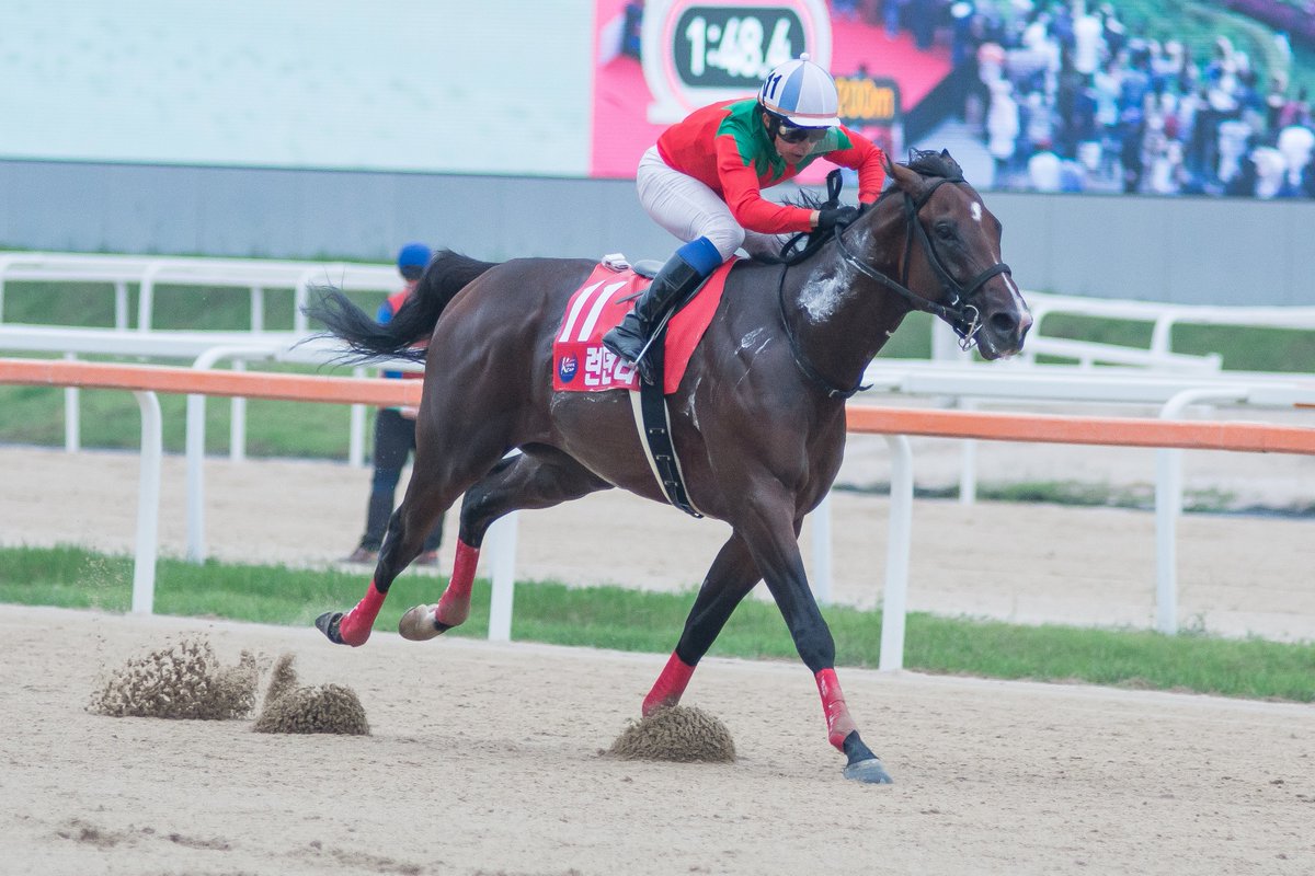 [Flameracing]韓國盃，日本馬再現大差壓勝劇 – Flameracing