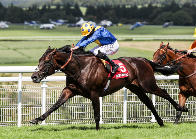 [Flameracing]香港盃大圍攻，詩人之言更進一步 – Flameracing