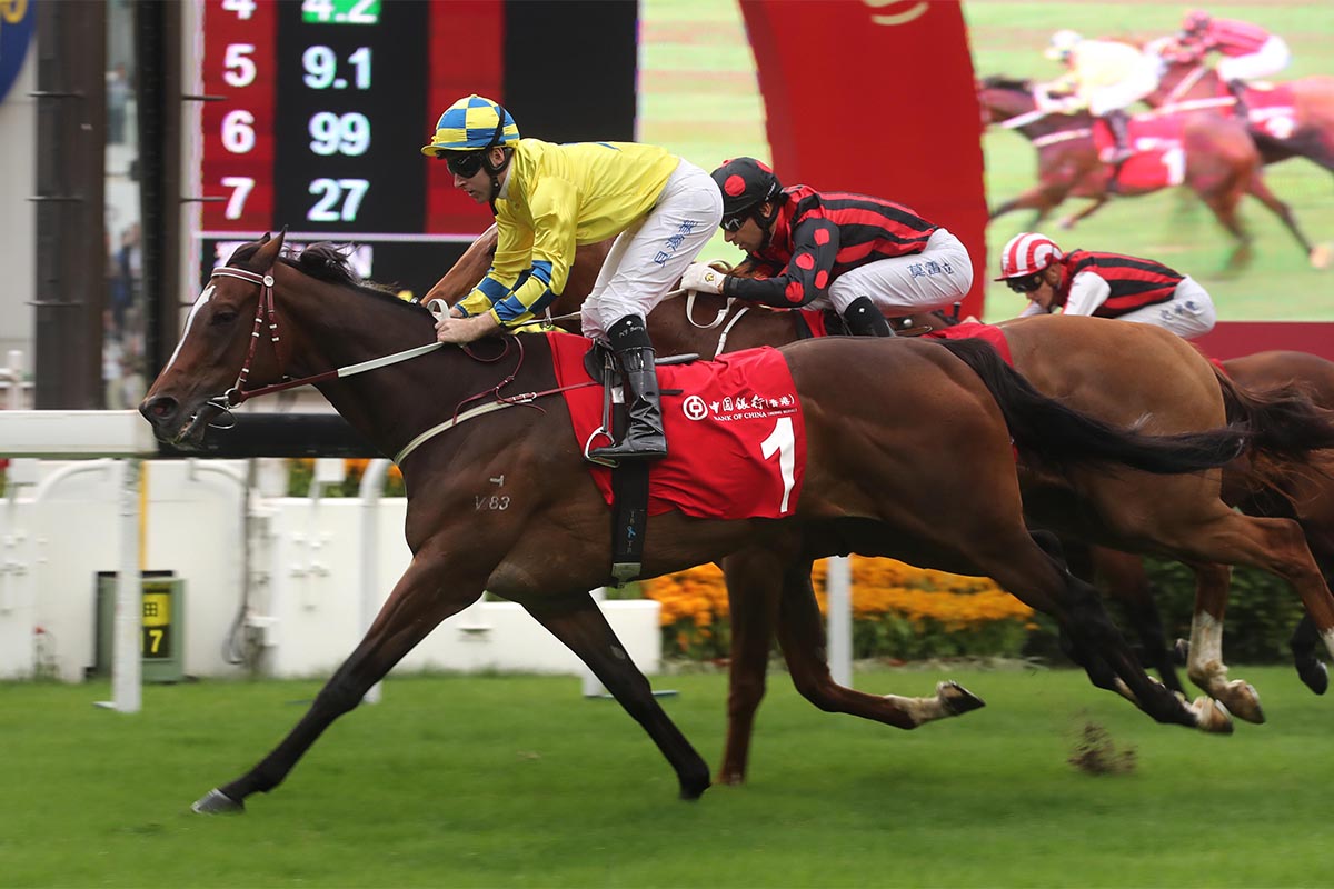 [Flameracing]明月千里確定去寶塚 – Flameracing