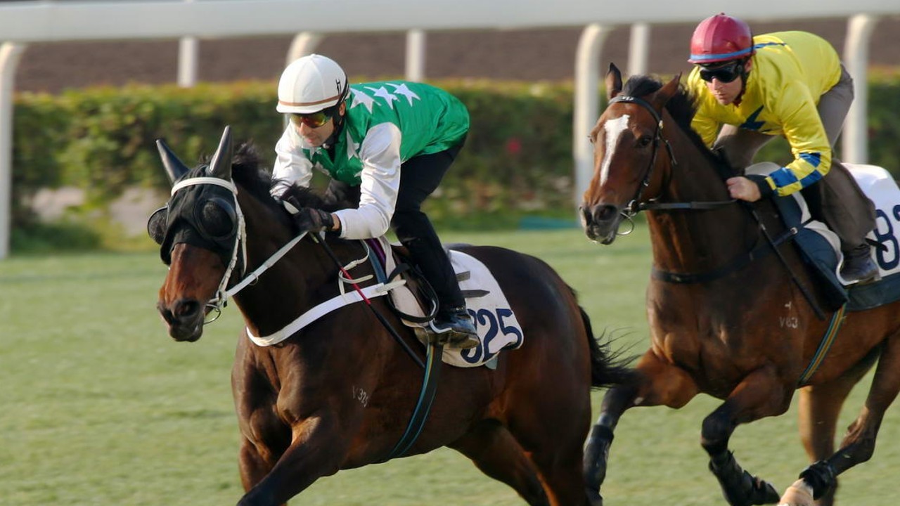 [Davi]巴基之星試閘大成功 – Flameracing