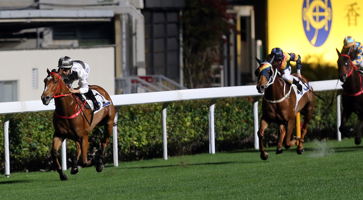 [Davi]主席短途獎馬匹介紹 – 真．秘密武器 – 天下為攻 – Flameracing