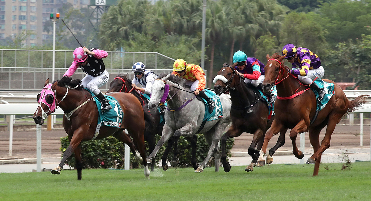 [Davi]冠軍一哩賽 – 美麗傳承滿貫達成 – Flameracing