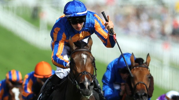 [Davi]葉森橡樹 – 岳軍少帥奪標 – Flameracing