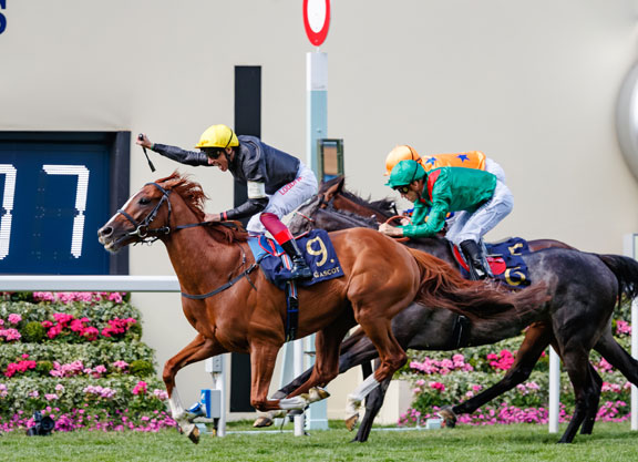 [Davi]雅士谷金盃-弦樂器高奏一章 – Flameracing