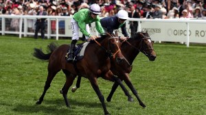 [Flameracing]皇家雅士谷匯報第五天，晶瑩汪洋輕鬆大勝 – Flameracing