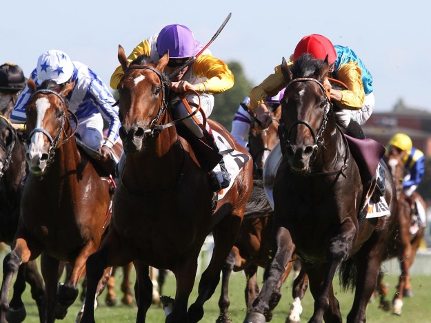 [Flameracing]德國打吡Weltstar聯同2017年冠軍Windstoss兄弟連霸 – Flameracing