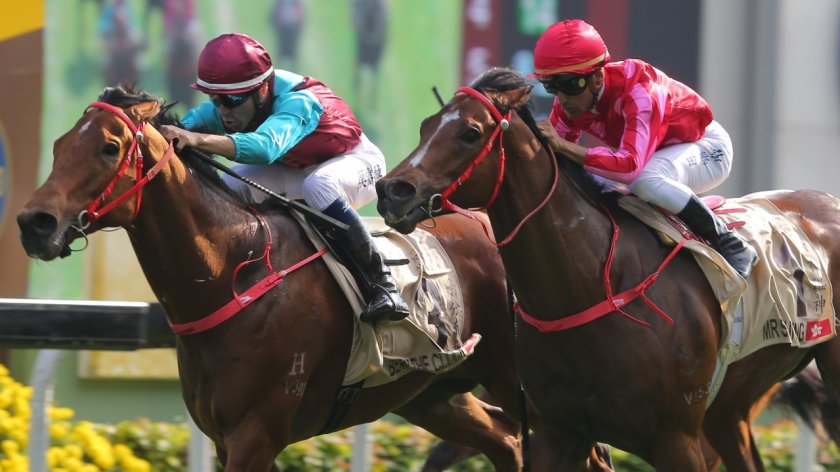 [Davi]百周年紀念短途盃- 爭分奪秒悲願G1制霸 – Flameracing