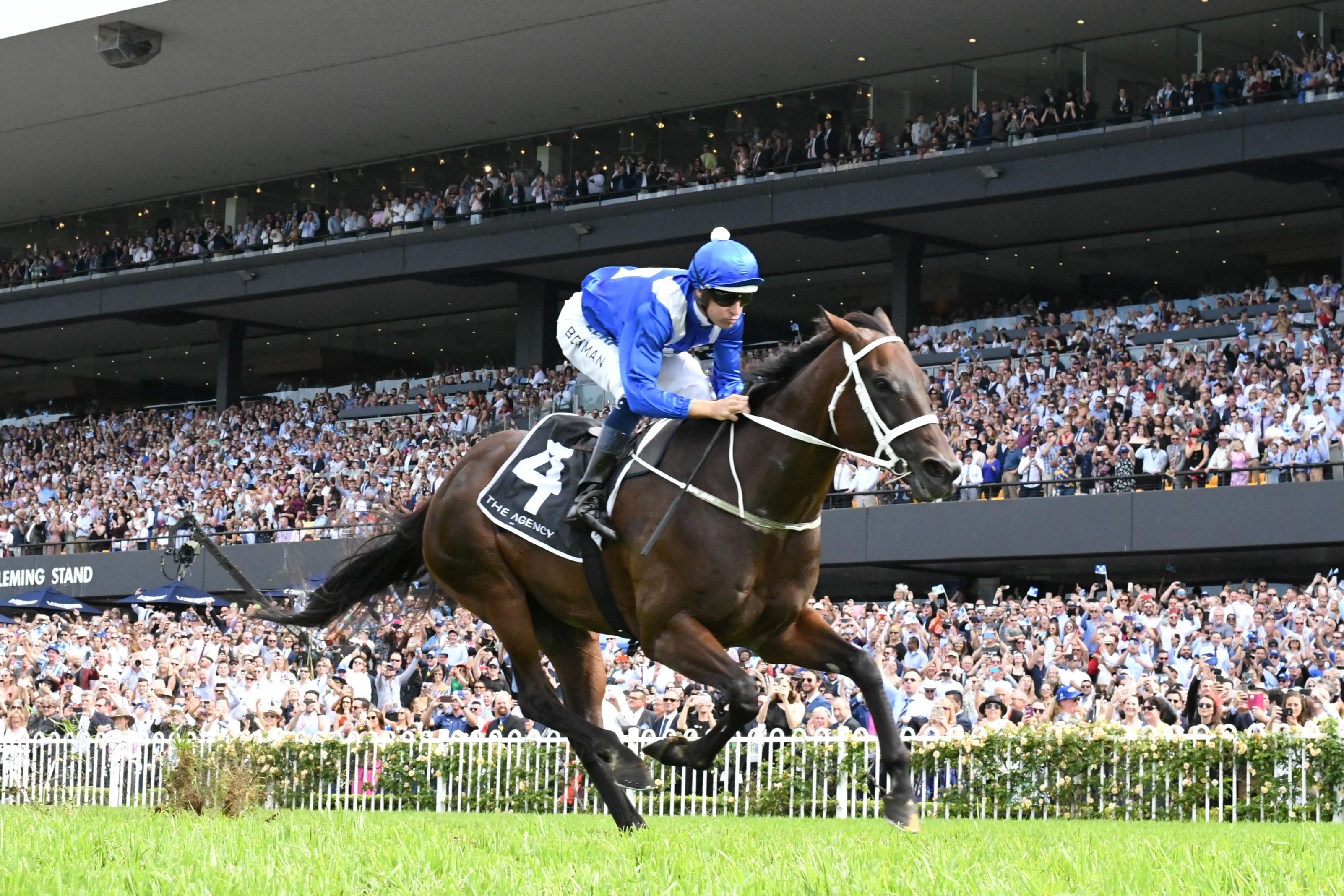 [Flameracing]雲絲仙子配種對象確定 – Flameracing