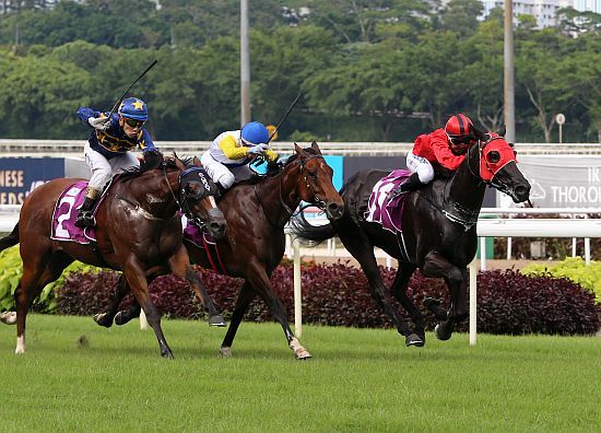 [Flameracing]獅城盃三歲馬澎湃動力 – Flameracing