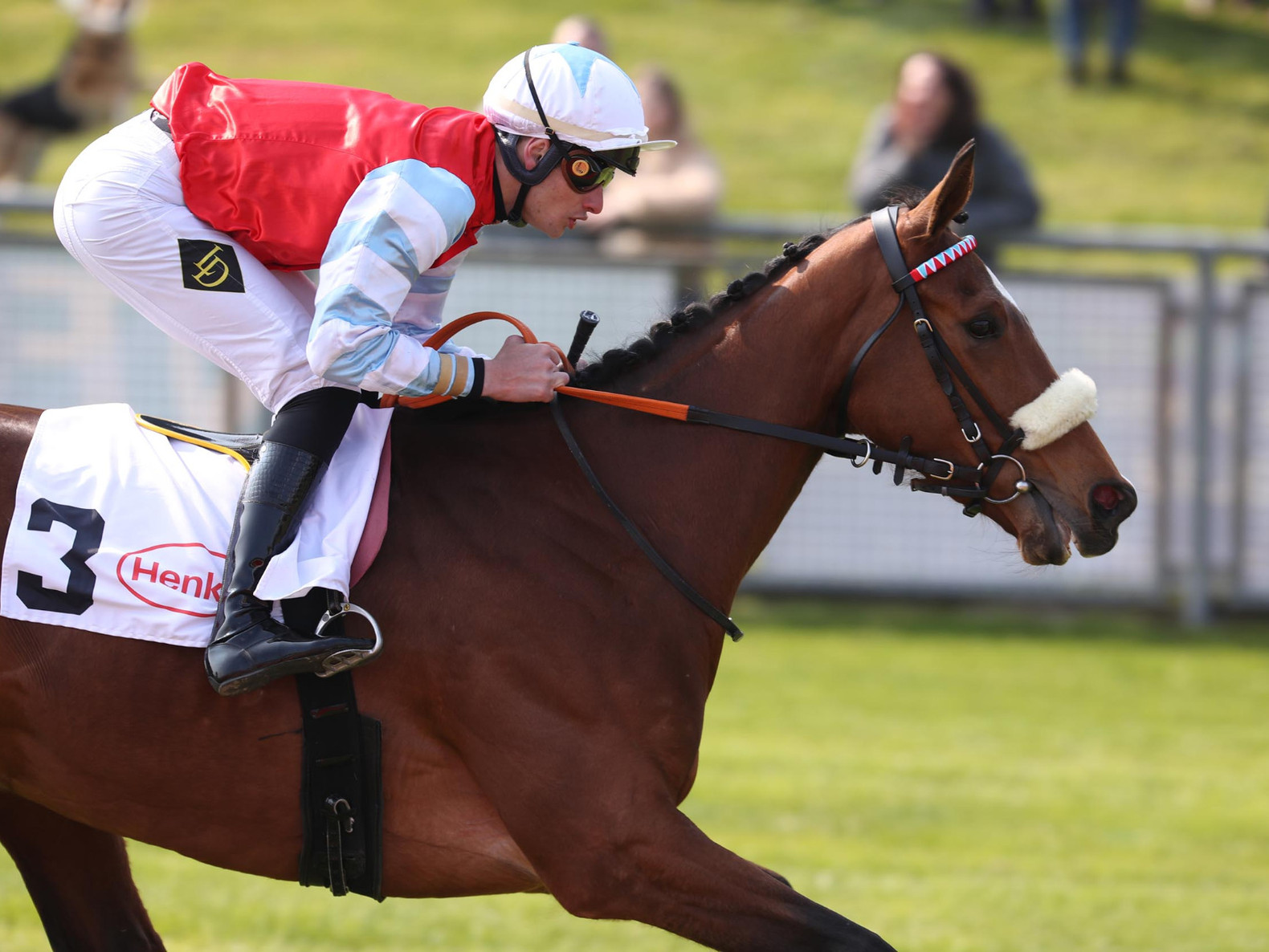 [Flameracing]法國橡樹日本勢力裝飾櫻桃 – Flameracing