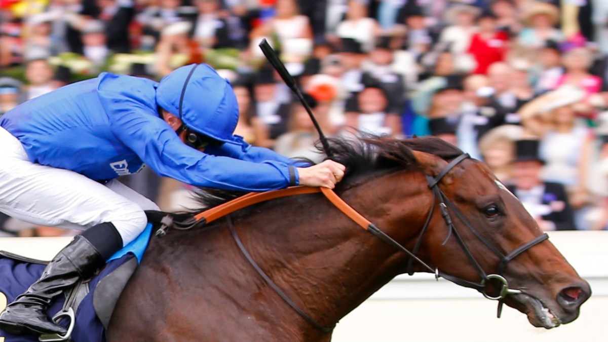 [Davi] 皇席錦標 – 蔚藍海角連霸成功 – Flameracing