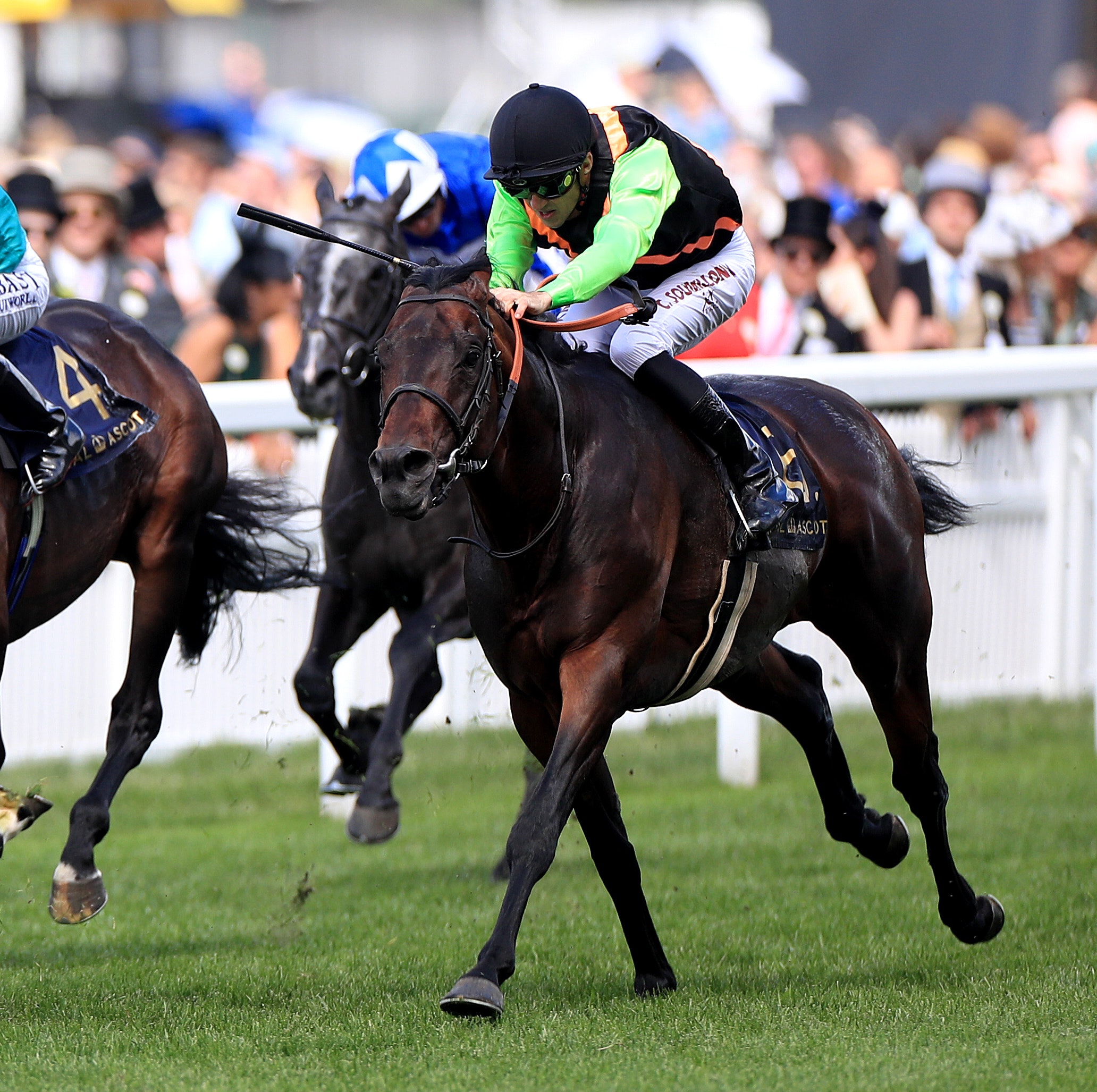 [Flameracing]捷克馬能否憑長野金作出大突破 – Flameracing