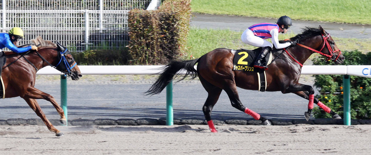 20200912_Jasper_Prince – Flameracing