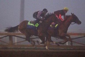 每日賽馬晚報（2020年10月20日），談到退役配種豈止既成事實，200連敗你見過嗎？ – Flameracing