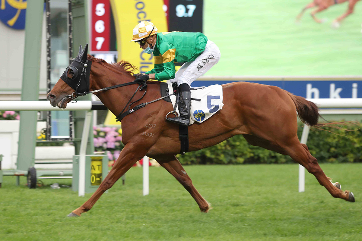 馬圈狂新聞94 – Flameracing