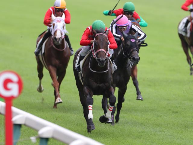 馬圈狂新聞110，蹭奧運狂熱 – Flameracing