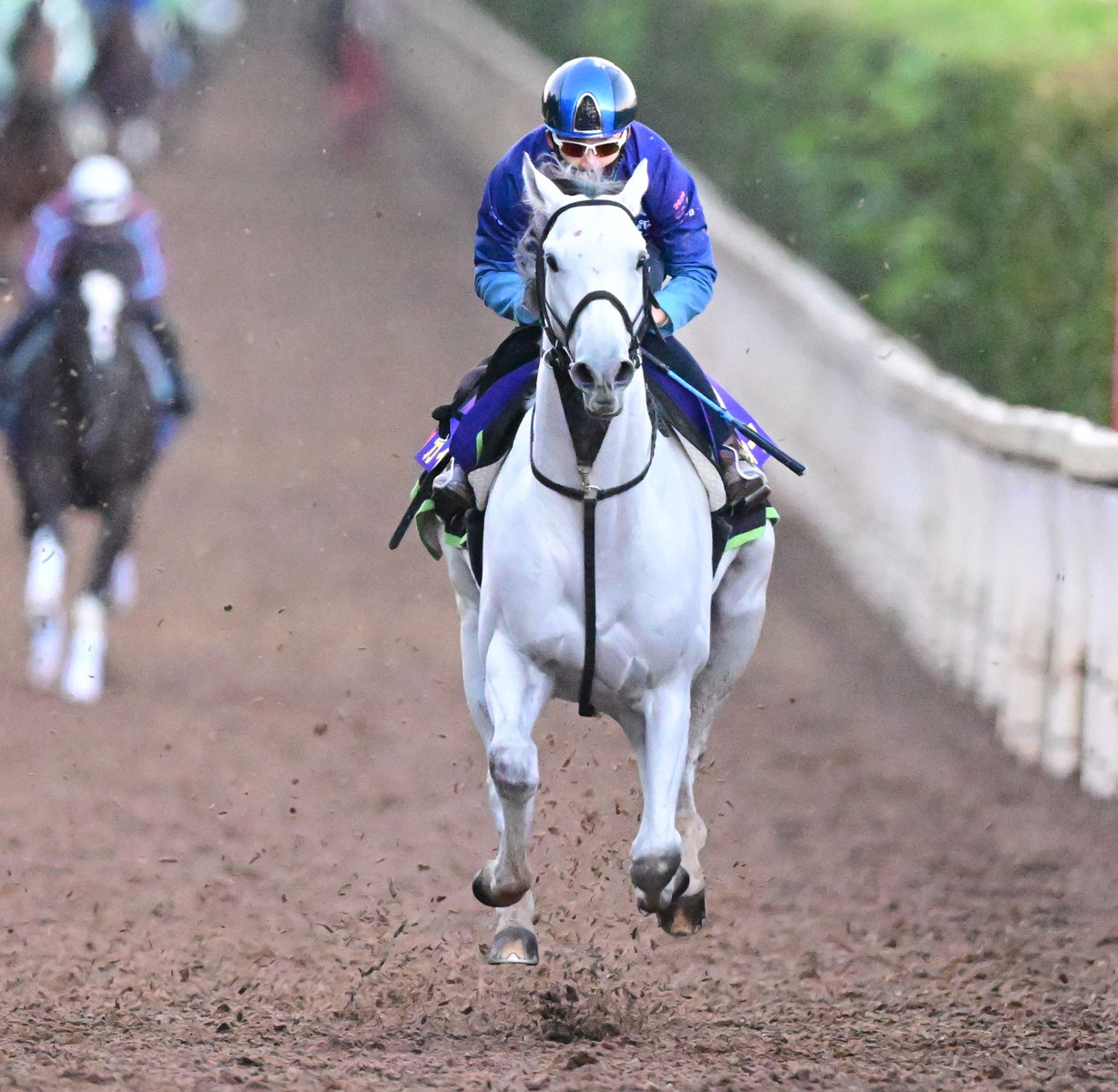 浪漫勇士及遨遊氣泡大考驗，安田紀念賽決戰 – Flameracing