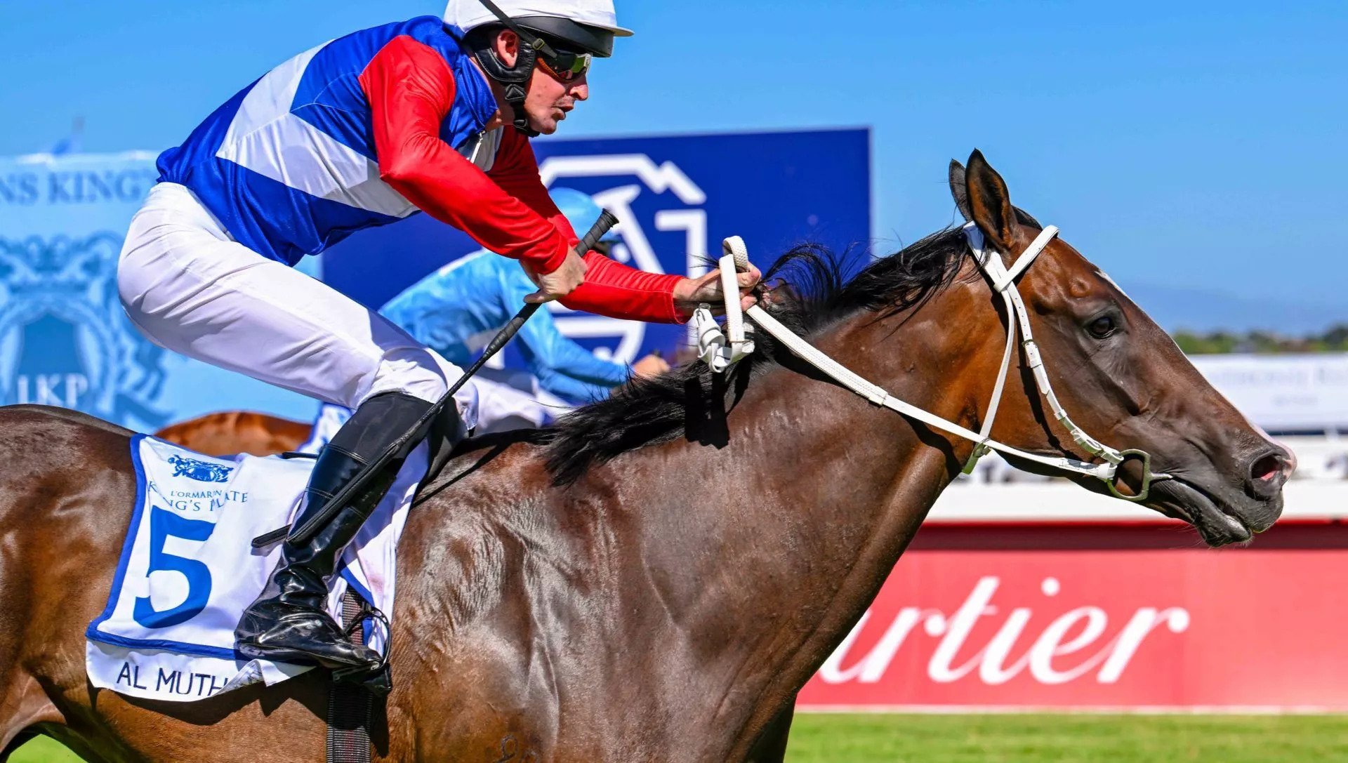 南非好望角大都會錦標，十九駒如何擦出火花？ – Flameracing