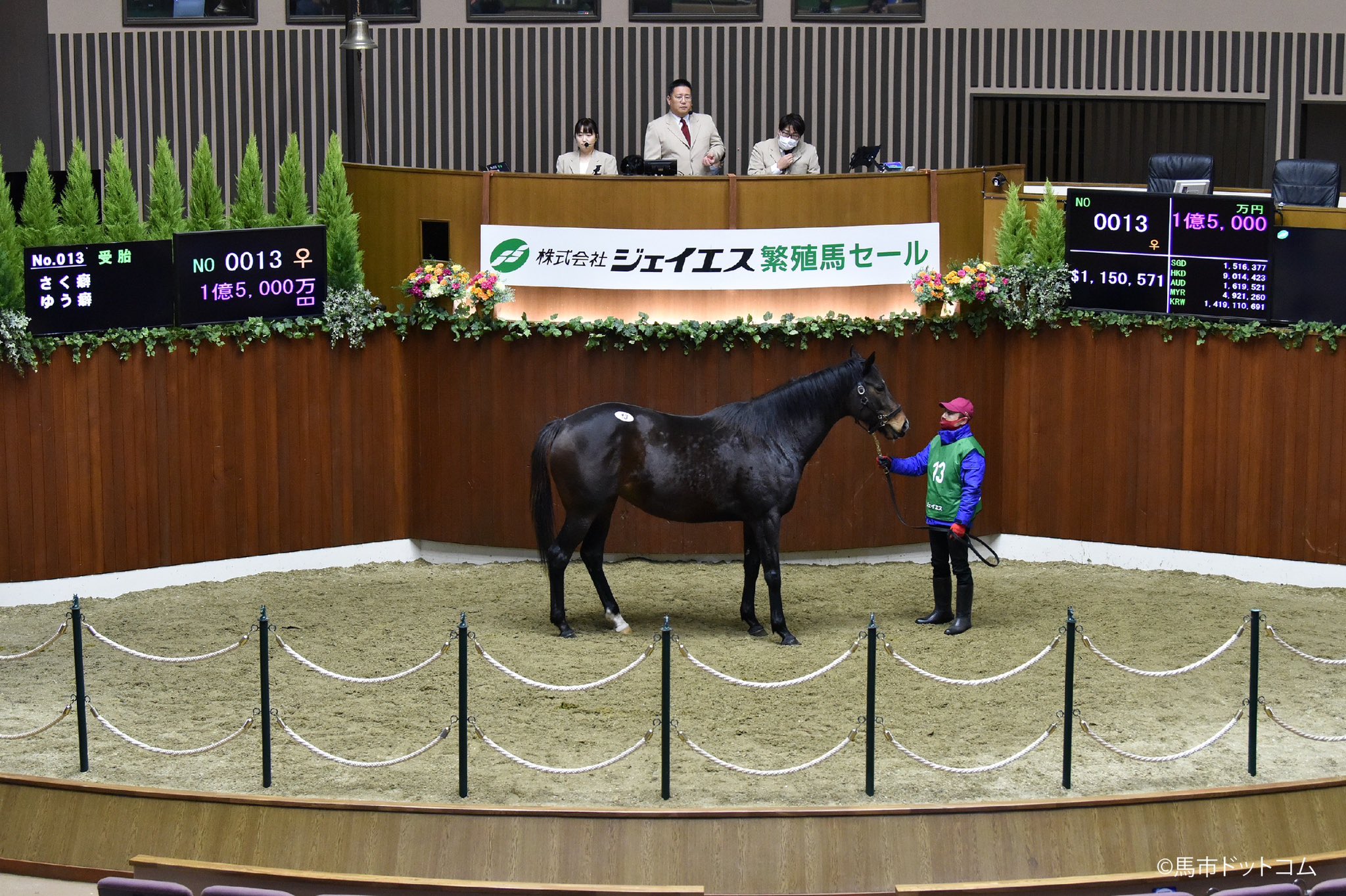 日本雌馬拍賣會兩種情，尋求自家種馬與馬主遺孀要錢不要貨 – Flameracing