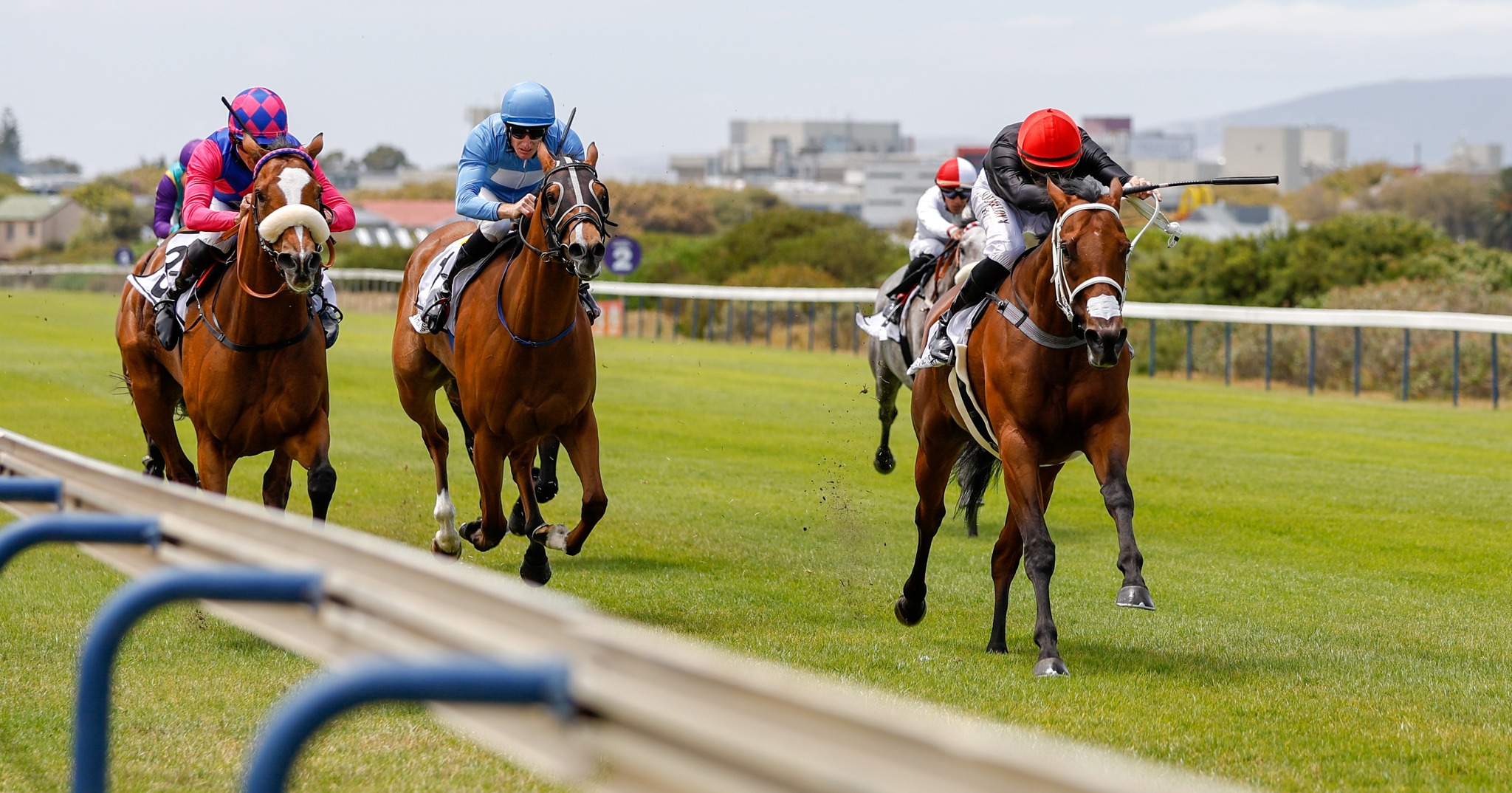 好望角大都會錦標，黑艇再度力克宿敵科美迪 – Flameracing