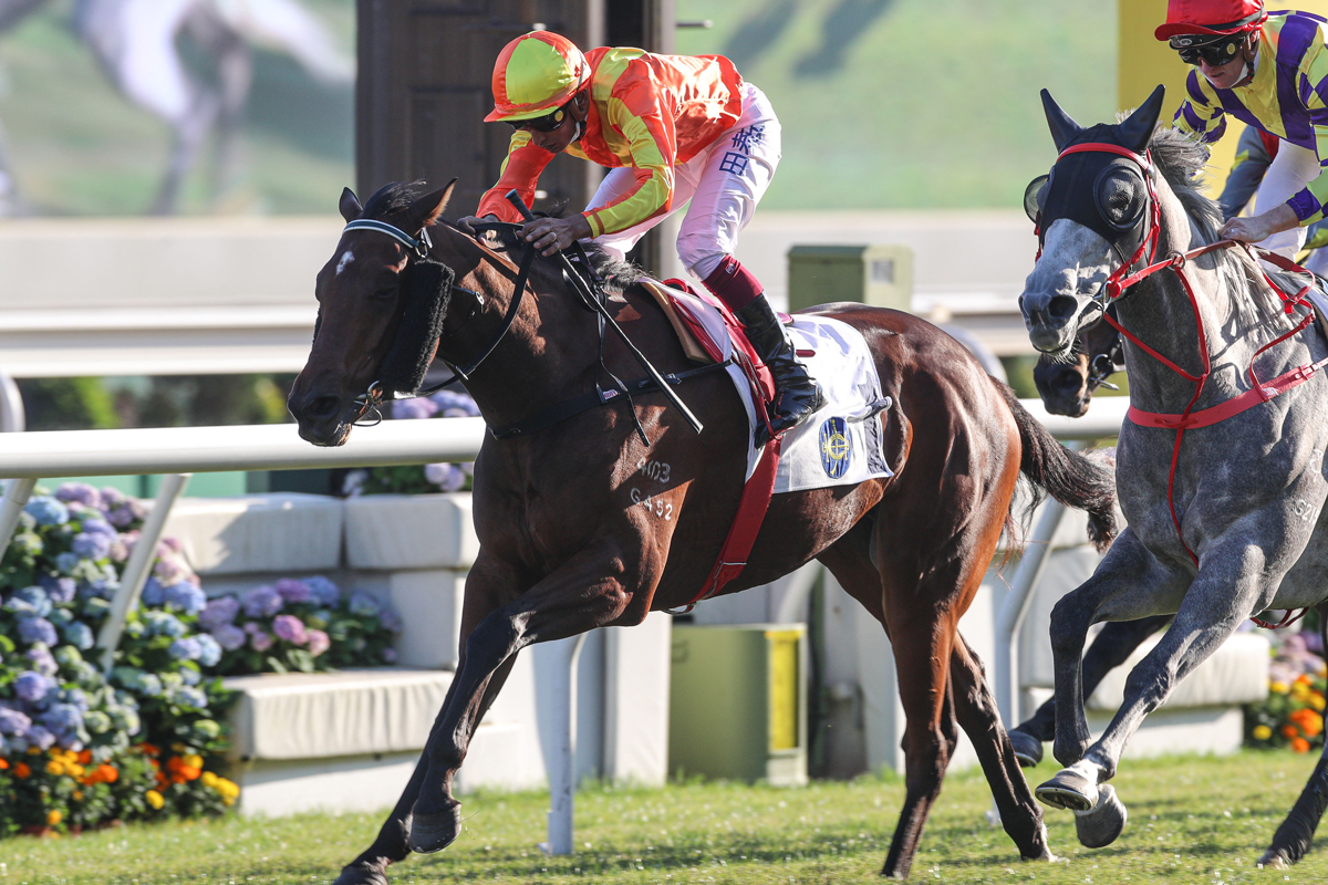 旗幟鬥士能否找回內檔認真再戰？ – Flameracing