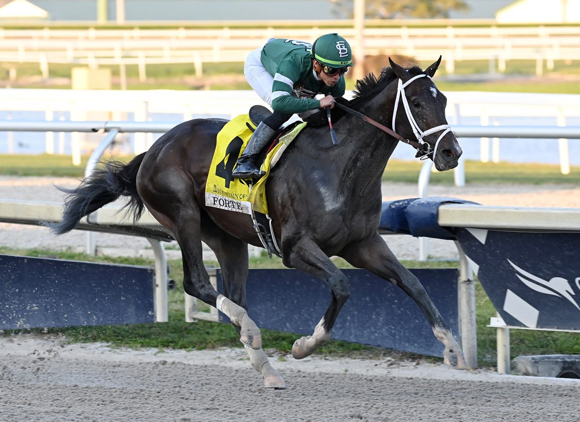 每日賽馬晚報（2023年3月6日），明星一哩賽先公佈三張外卡，Fotre輕取青春無限錦標 – Flameracing