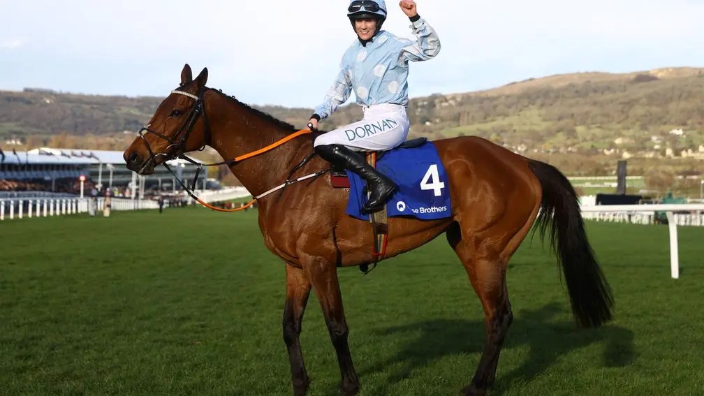 20230314_Honeysuckle – Flameracing