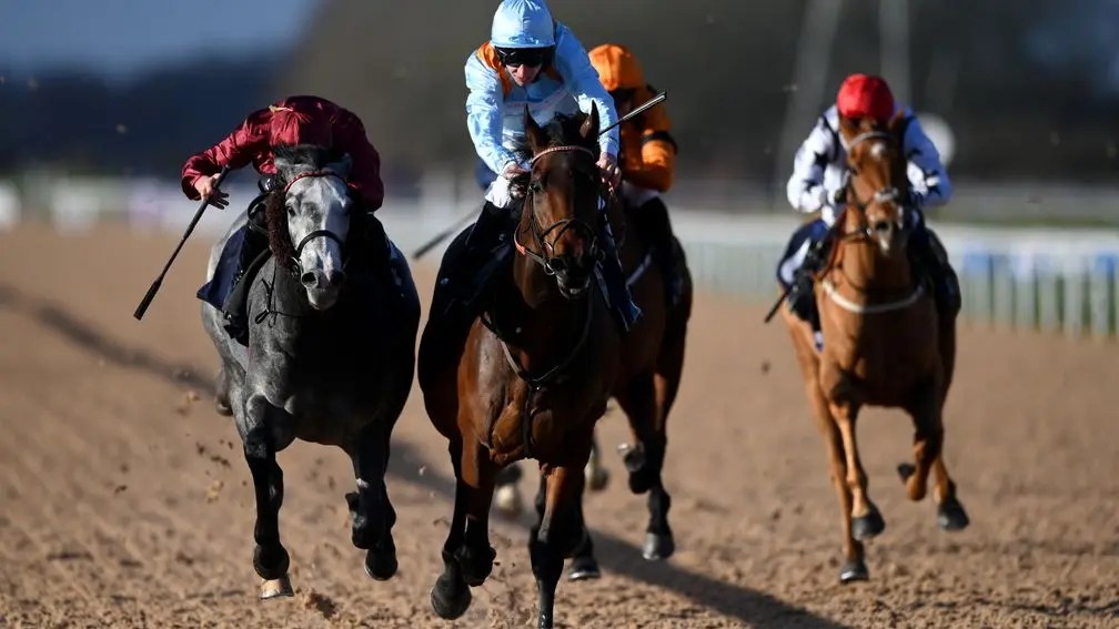 Brave Emperor肯塔基打吡夢碎，轉往德國上陣 – Flameracing