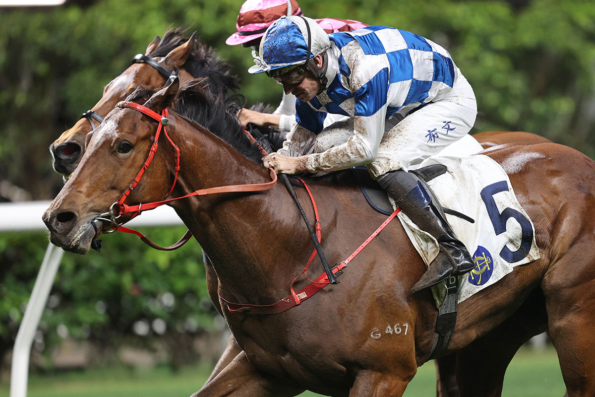 20230419_Nordic_Dragon – Flameracing