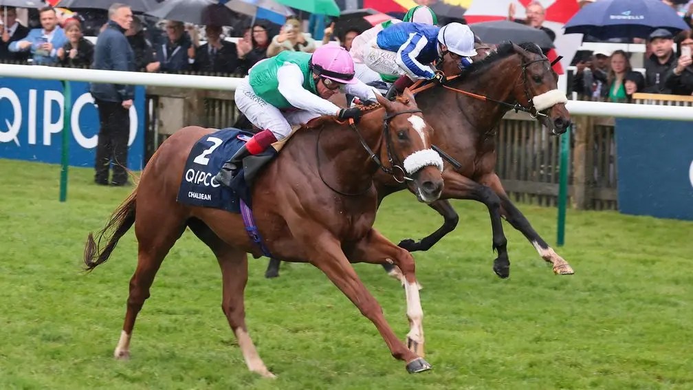 每日賽馬晚報（2023年9月22日），🇬🇧新王朝英國冠軍賽馬日復出，🇯🇵冠威及秀逸小島因馬匹狀況避戰秋季賽事 – Flameracing