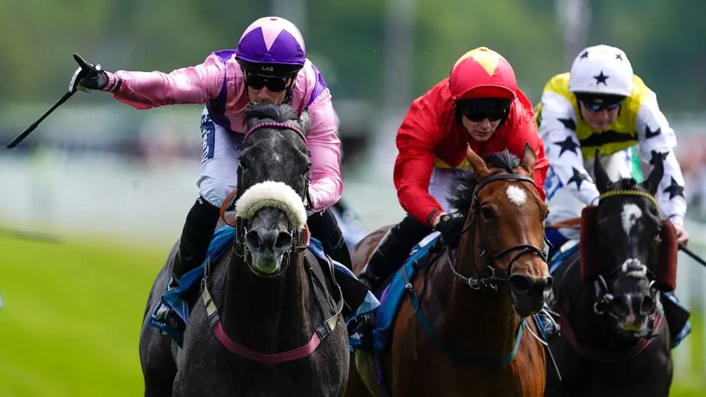 1895約克公爵錦標，晴天藍受讓下力退喜菲皇女 – Flameracing