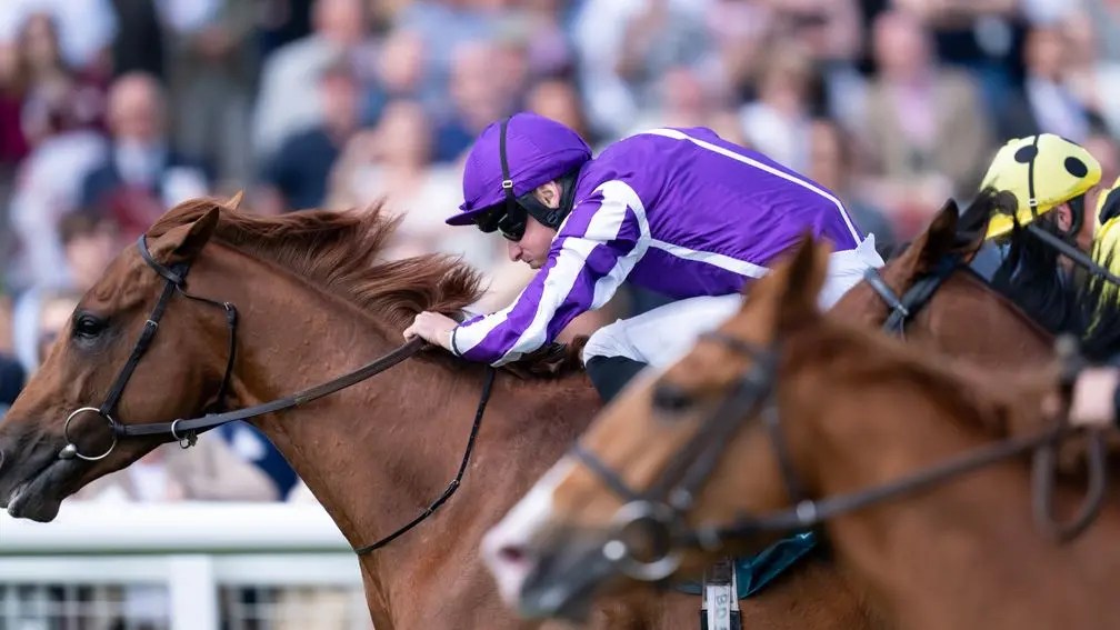 賣去香港的是抱天雷，而非繪馬宗師 – Flameracing