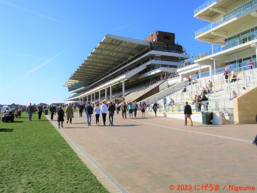 十人十色專訪Nigeuma，專心一意障礙賽馬 – Flameracing