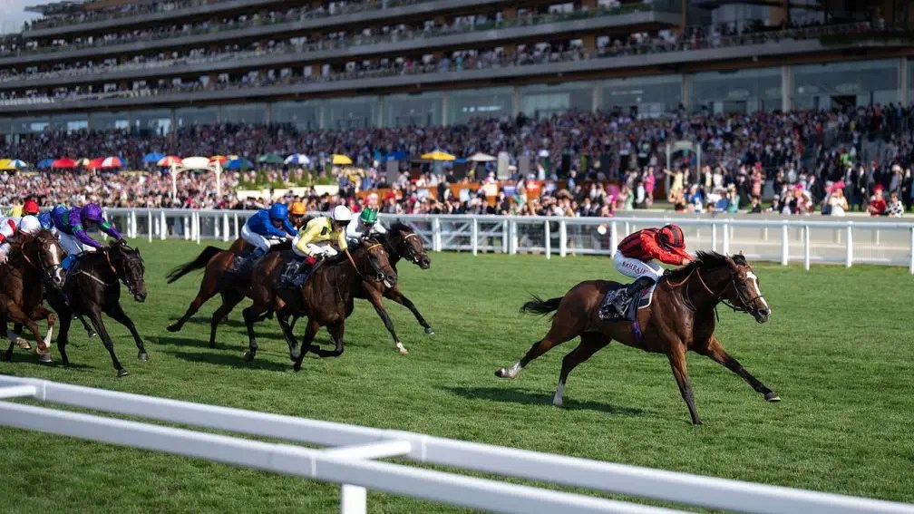 惠比壽正式前來香港 – Flameracing