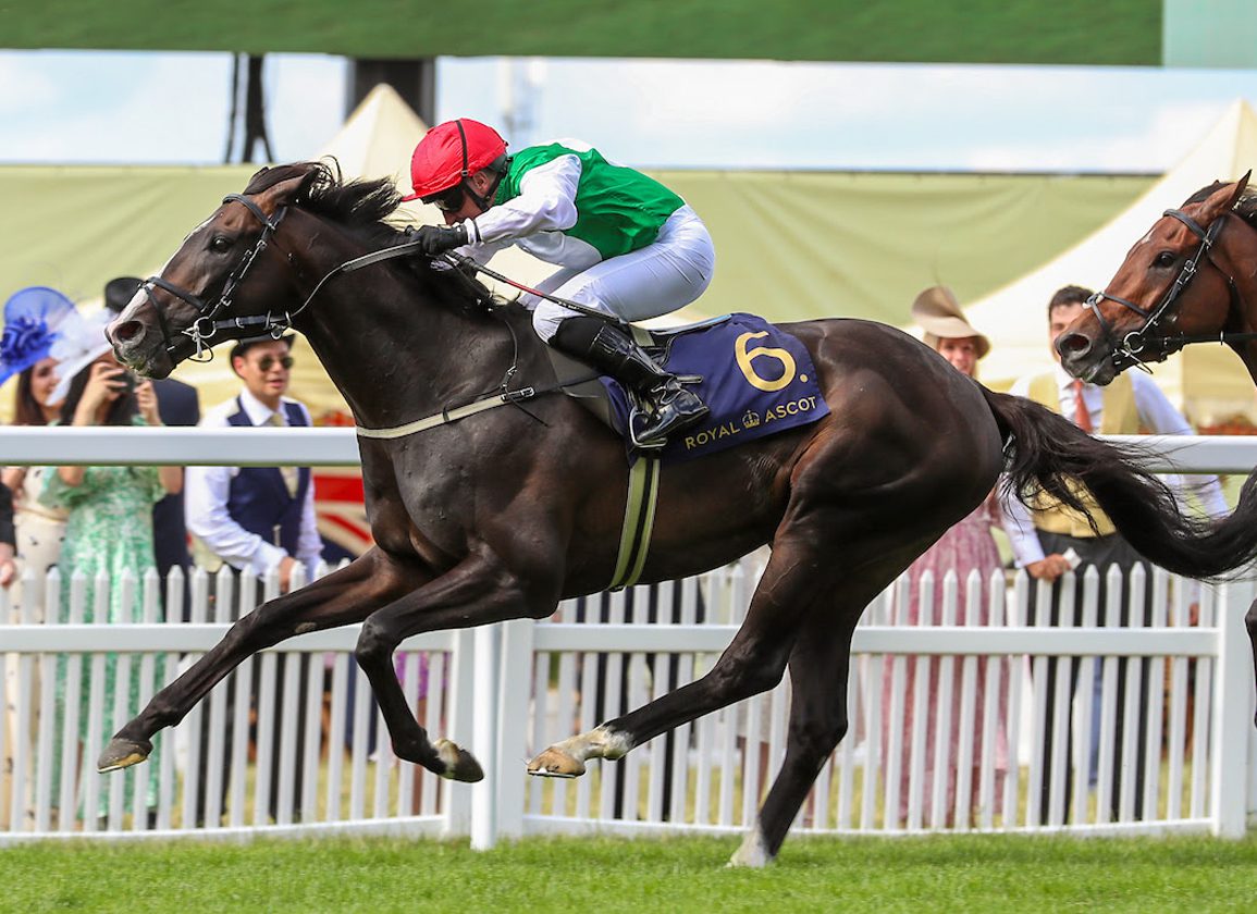 夏域錦標，致勝一擊不讓上位馬找機會 – Flameracing