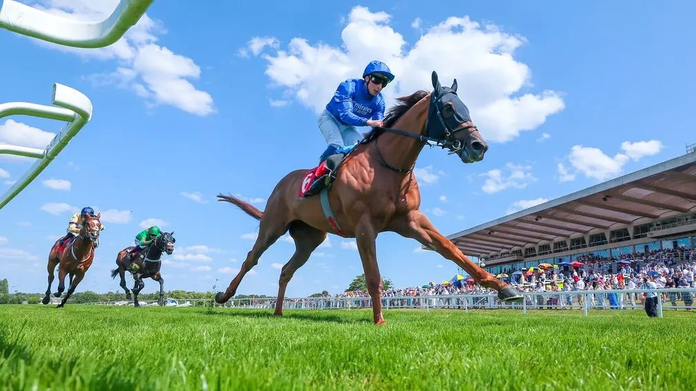 每日賽馬晚報（2023年7月8日），🇧🇭巴林國際錦標升格為二級賽，🇬🇧伊比爾族復活贏馬 – Flameracing