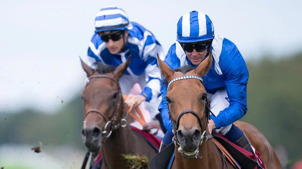 蘭秀錦標，偉石堡讓大熱中伏 – Flameracing