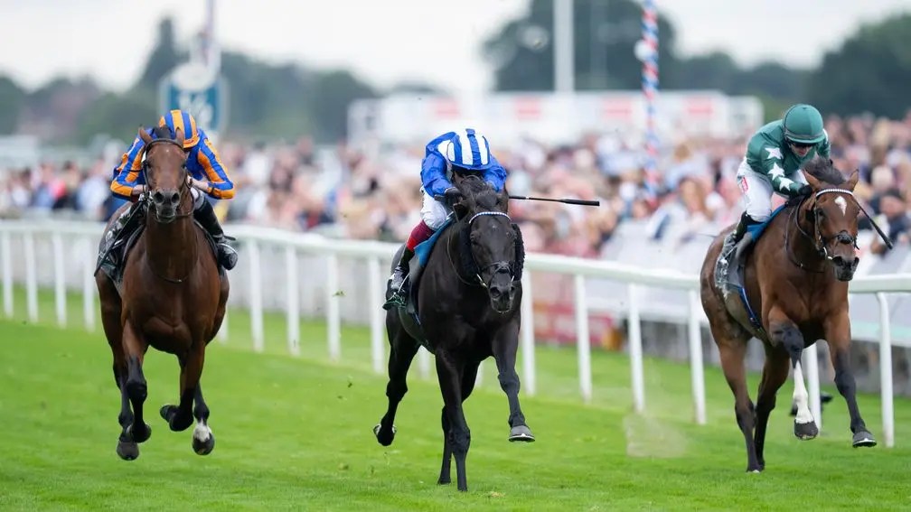 育馬者盃草地大賽強勢出擊，王者能否輕鬆取勝？ – Flameracing